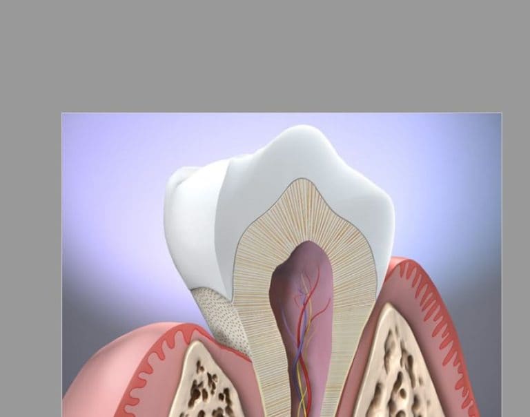 Colgate® - Sensitive-Pro-Relief™ - Tooth Anatomy Overview - #ColgateTalks